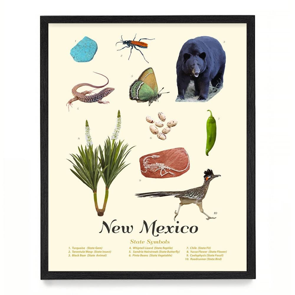 Art Symbols New Zealand Symbols" Art Print For Sale By RaionKeiji