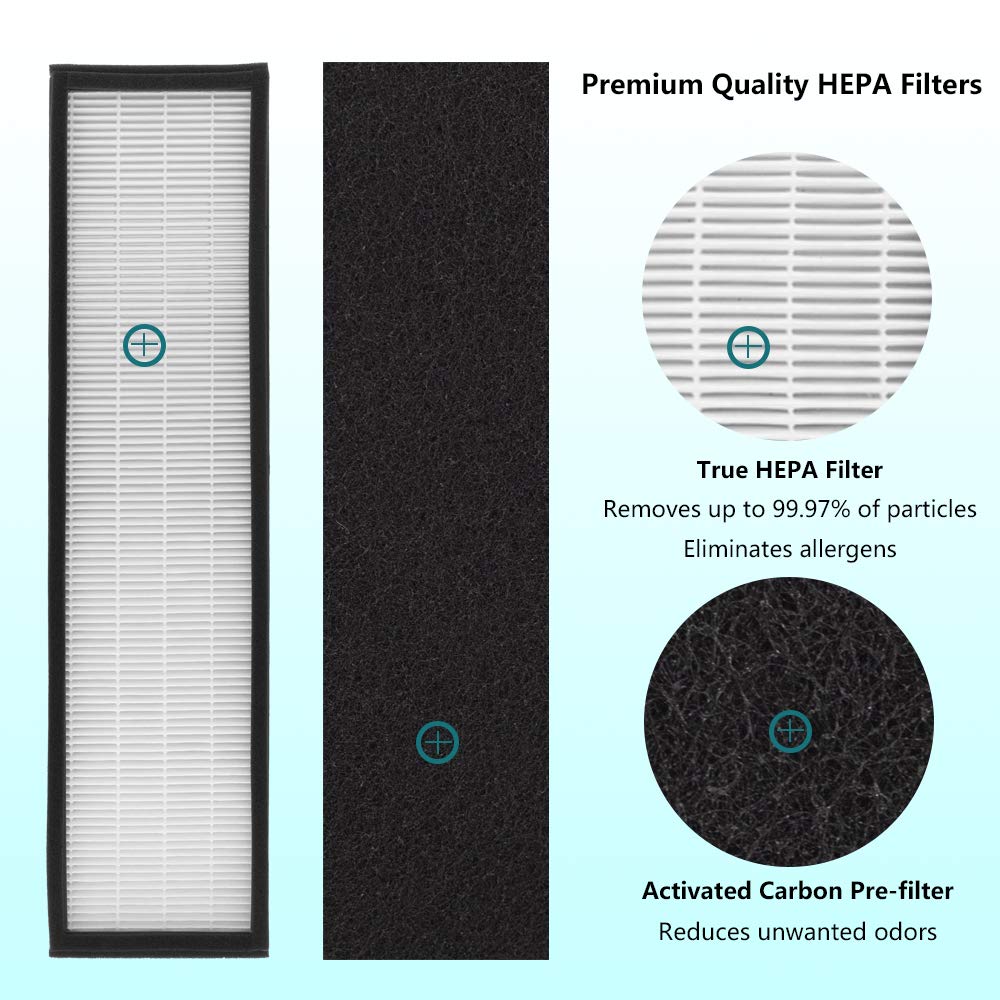Lhari FLT5000 Filter C True HEPA Replacement Filter, Compatible with ...