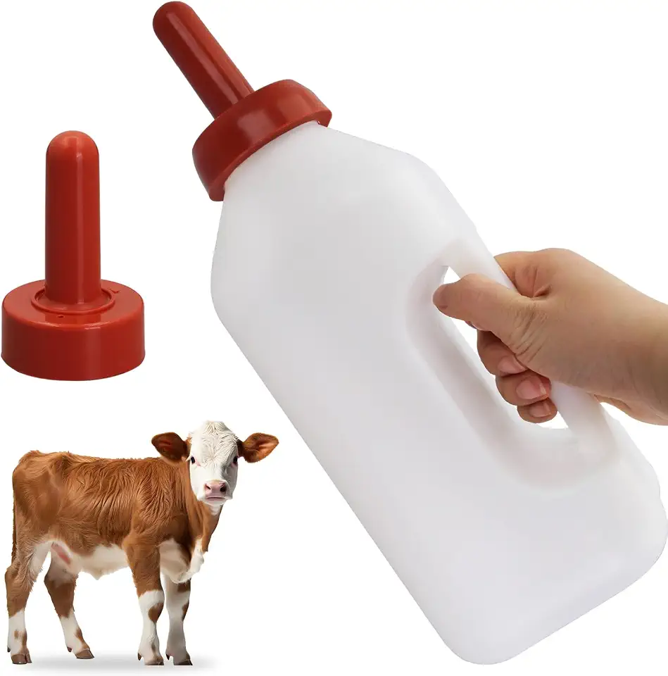 Feeding Newborn Calves: How Much Milk Is Needed? | ShunChild