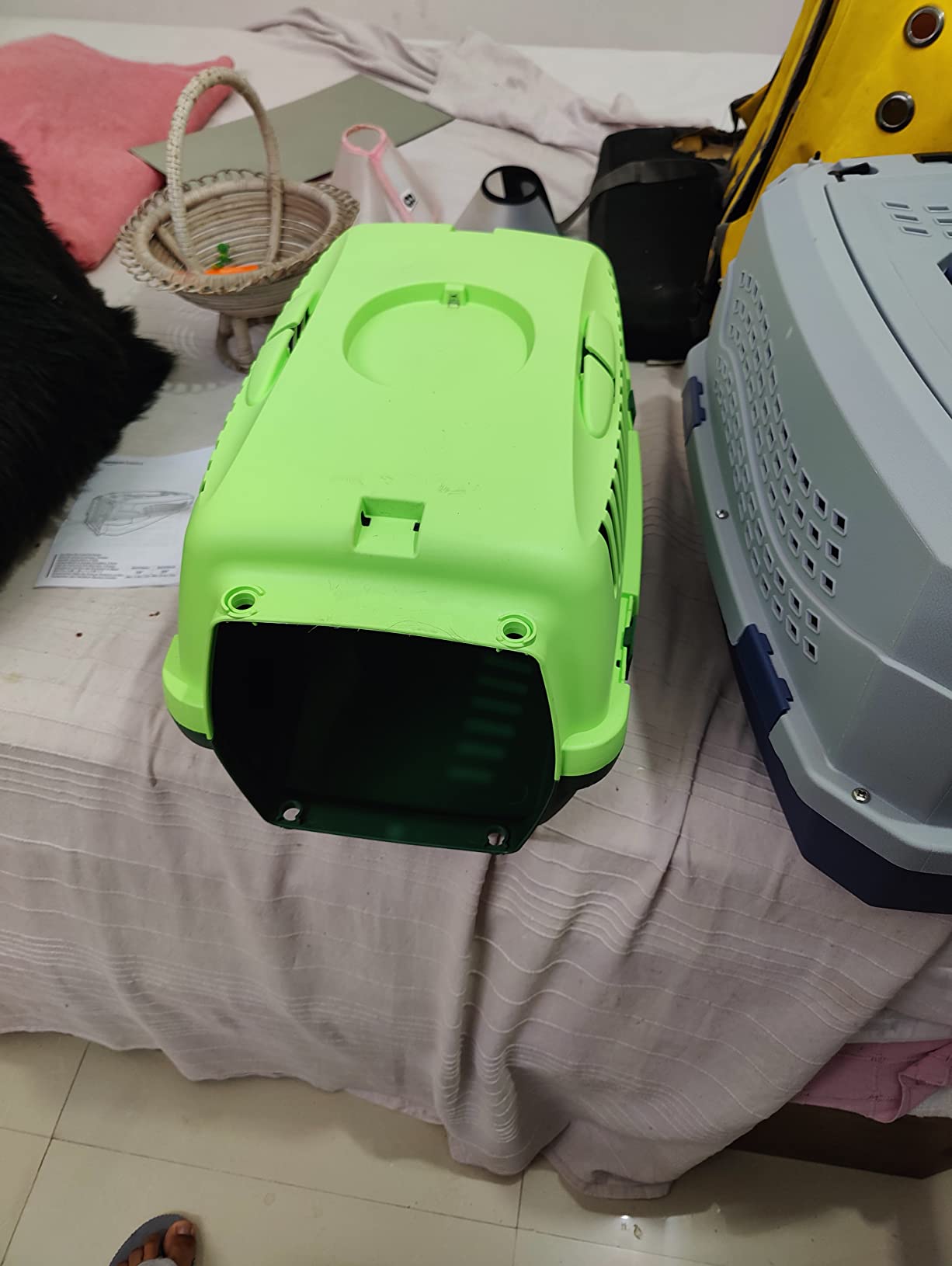 Trixie Capri I Hard Shell Pet Carrier, Dark Green/Pastel Green : Amazon ...