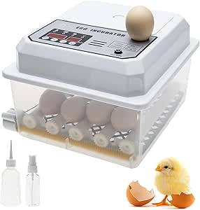 Amazon.com: Patioer Egg Incubator for Hatching Chicks, Holds 16 Eggs with Automatic Egg Turner ...