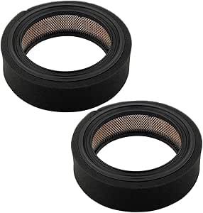 Amazon.com: Bullworks 2 Pack 25 883 03-S1 Air Filter and Pre Filter for ...