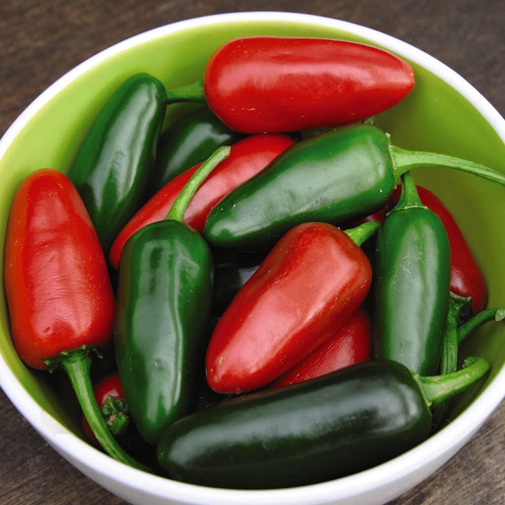Buy Chilli Pepper Jalapeno M Garden Half-Hardy Annual Flowering Garden ...