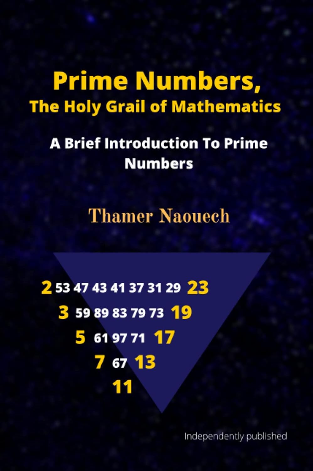 Prime Numbers: The Holy Grail Of Mathematics: A brief introduction to ...