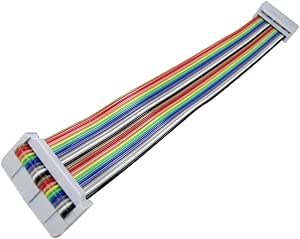 Amazon.com: 20 Pin JTAG Connection Cable for ARM Programming ISP IDC 10 ...