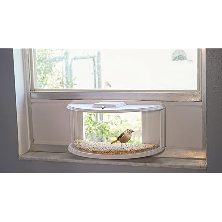 Amazon.com : YODOOLTLY Window Bird Feeder in-House 180° Clear View ...