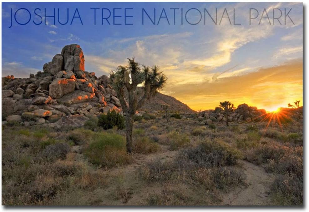 Amazon.com: Joshua Tree National Park, California Refrigerator Magnet ...