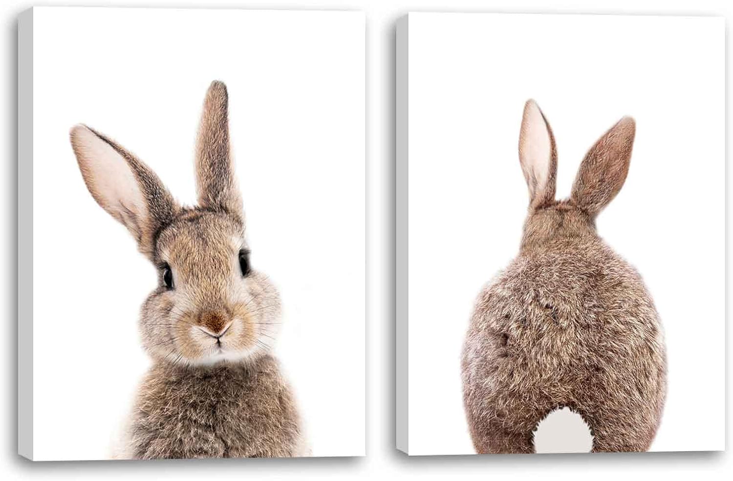 Amazon.com: Mokihidream Nursery Wall Art Bunny Rabbit Canvas Print Wall ...