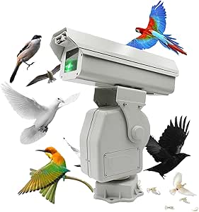 Amazon.com: ASHLGQB Automatic Bird Hunter, Solar Ultrasonic Bird Scare ...
