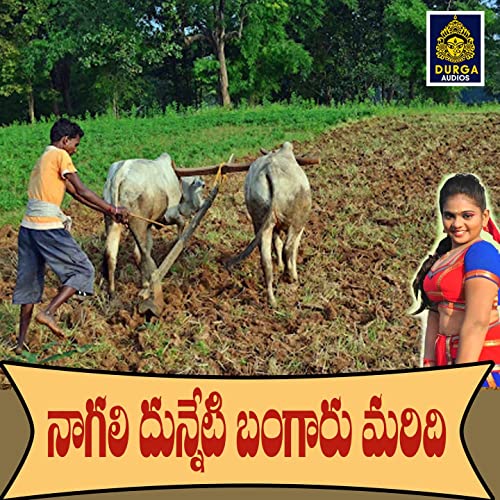 Nagali Dunneti Bangaru Maridhi by A Ramadevi & Gadipe Mallesh on Amazon ...