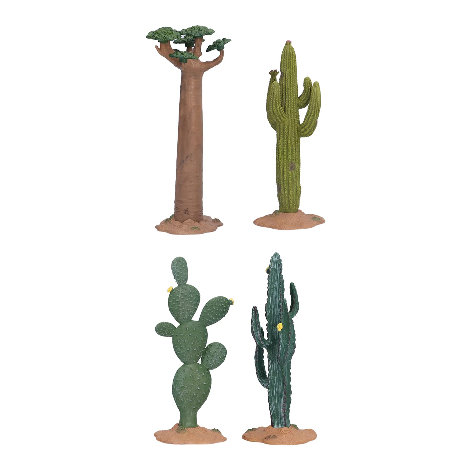 Desert Plants For Kids Desert Plants Report, Flip Book Research