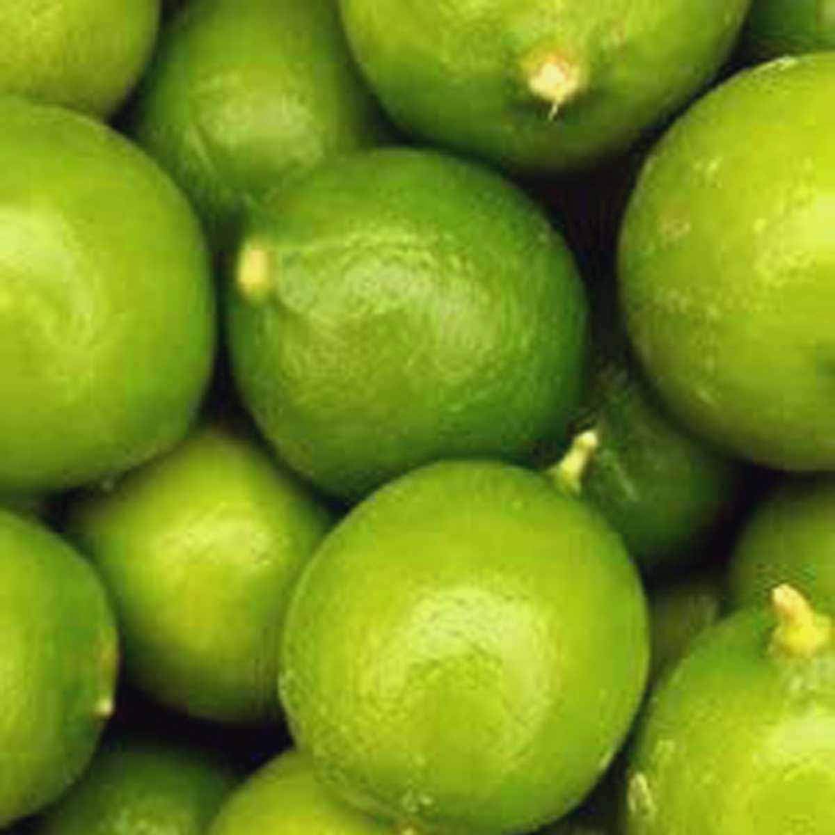 Amazon.com: Melissa's Fresh Key Limes, (5 Lb) : Grocery & Gourmet Food