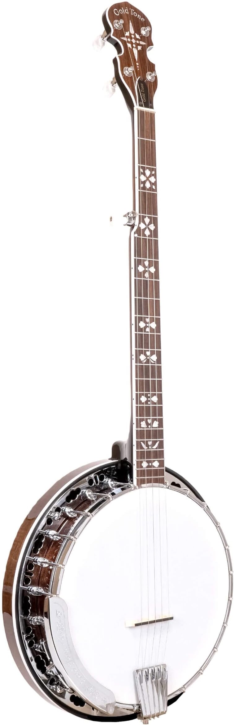Amazon.com: Deering Goodtime 2 5-String Resonator Bluegrass Banjo with ...