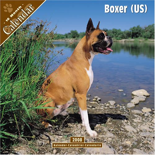 Boxer (US) 2008 Wall Calendar: Pet Prints: 9781846622588: Amazon.com: Books