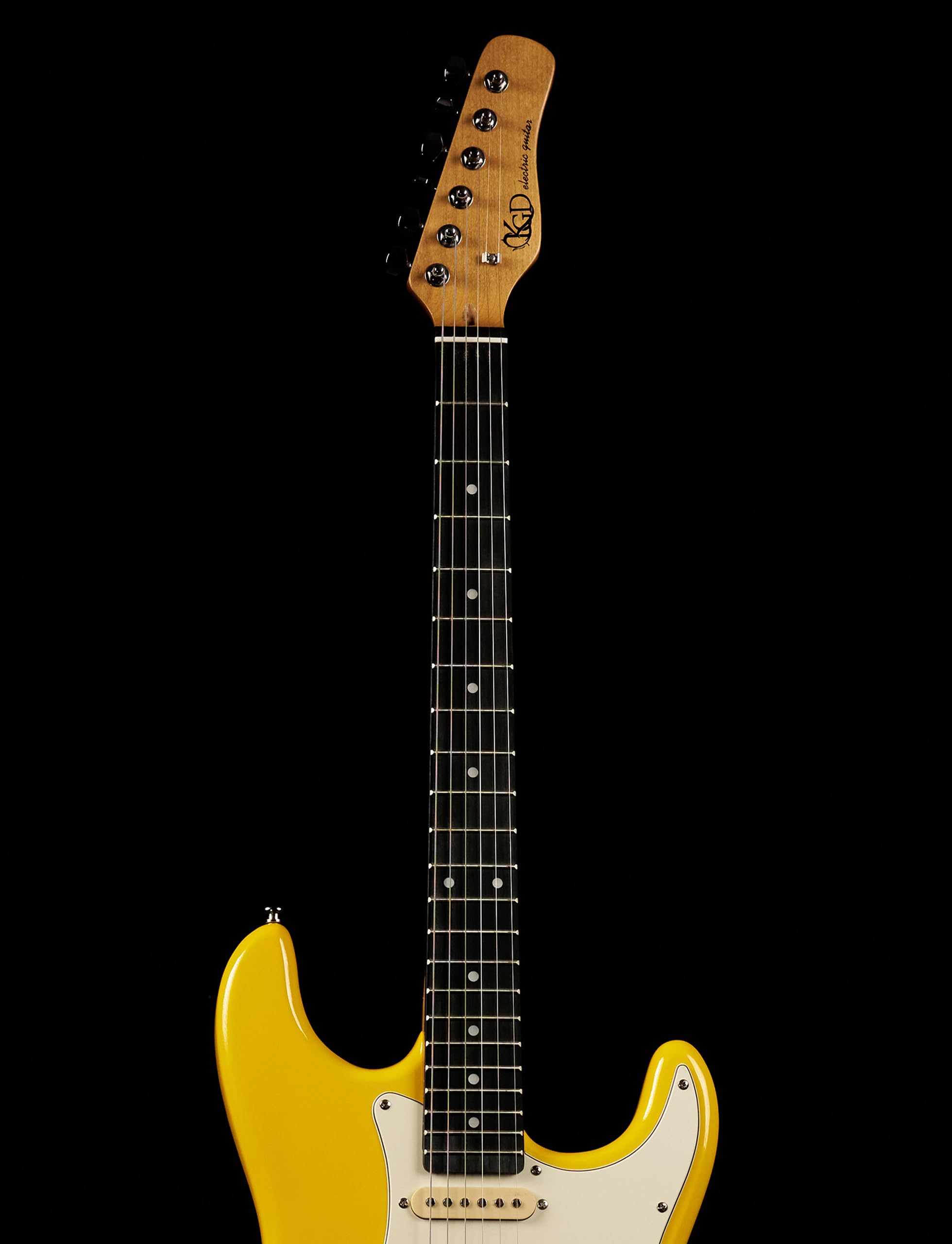 Snapklik.com : Electric Guitar,Sycamore Body,Carbonized Maple Neck ...