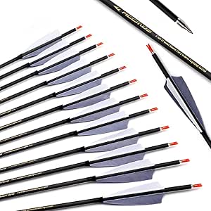 Amazon.com: 27-Inch Arrow Spine-400 Arrow Target Practice Arrow Hunting ...