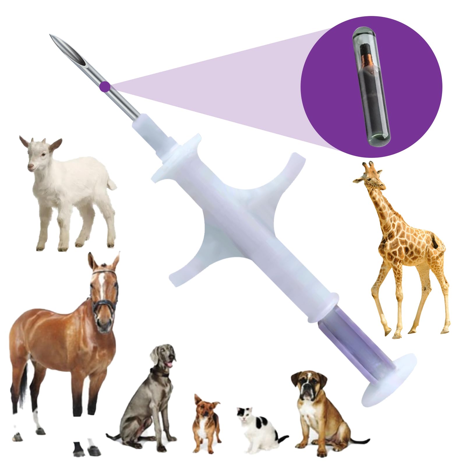 Necesito Registrar El Microchip De Mi Perro