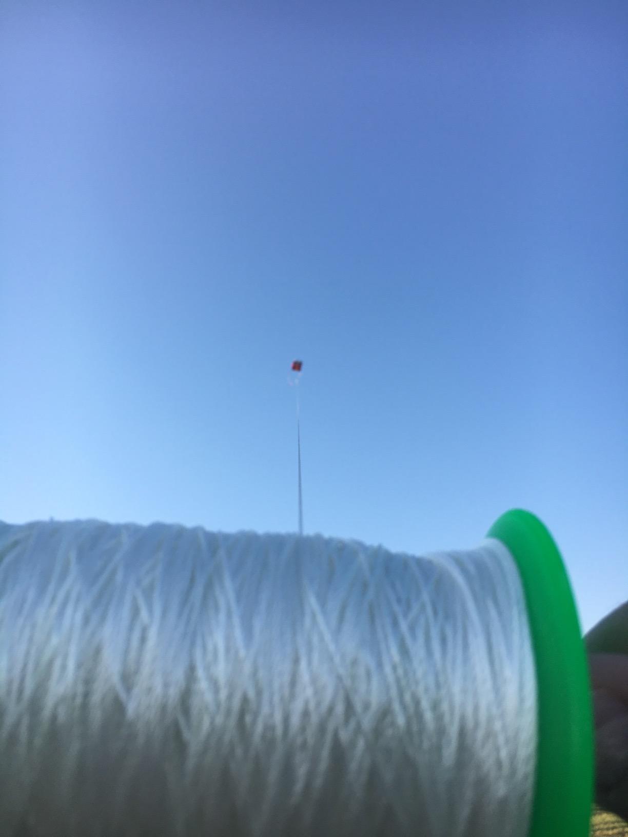 Amazon.com: X-Kites Skyfoil Frameless Spectrum Parafoil Kite : Toys & Games