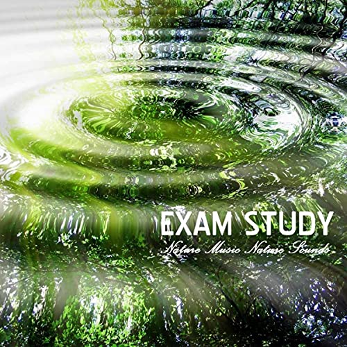 Play Exam Study Nature Sounds and Nature Music to Increase Brain Power ...