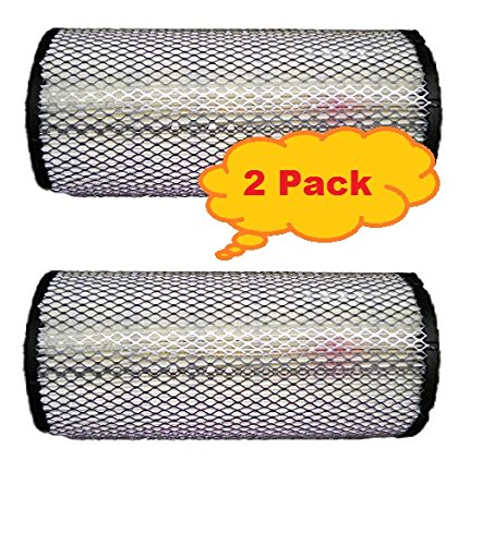 Amazon.com: 2250125-372 ELEMENT,AIR FOR SULLAIR COMPRESSORS (2 pack ...