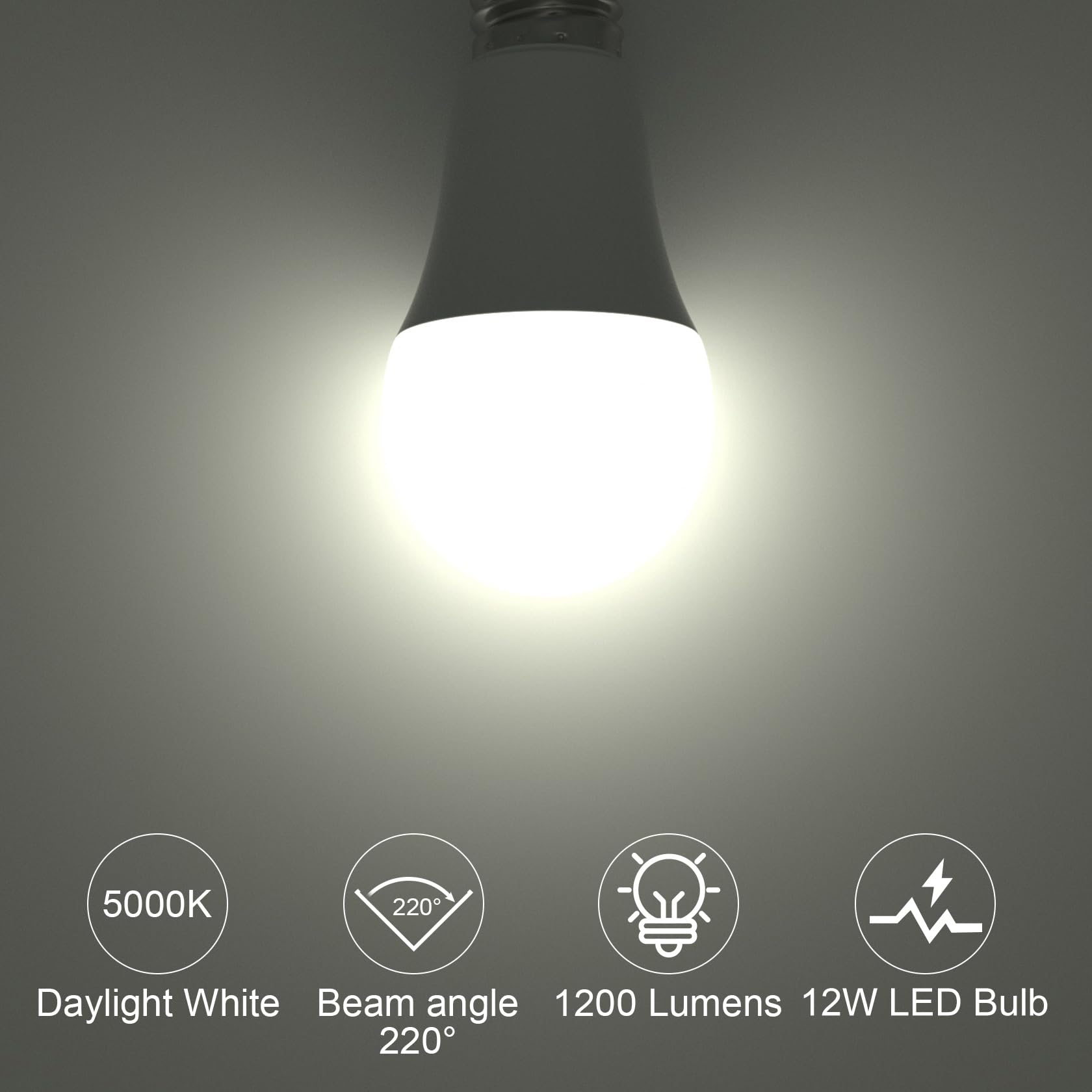Snapklik.com : LED Light Bulb, A19 12W Lightbulbs, 100 Watt Equivalent ...
