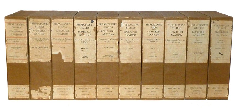Stereoscopic Studies of Anatomy/The Edinburgh Stereoscopic Atlas of ...