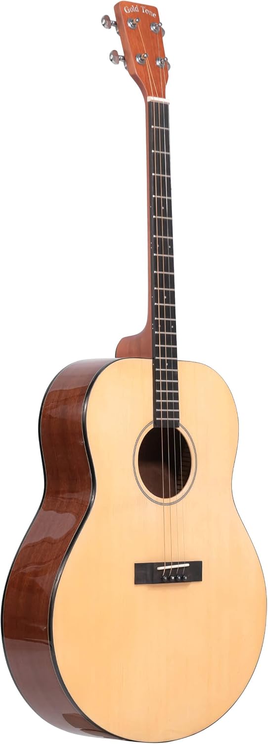 Amazon.com: Gold Tone TG-10 Tenor Guitar (Four String, Natural ...
