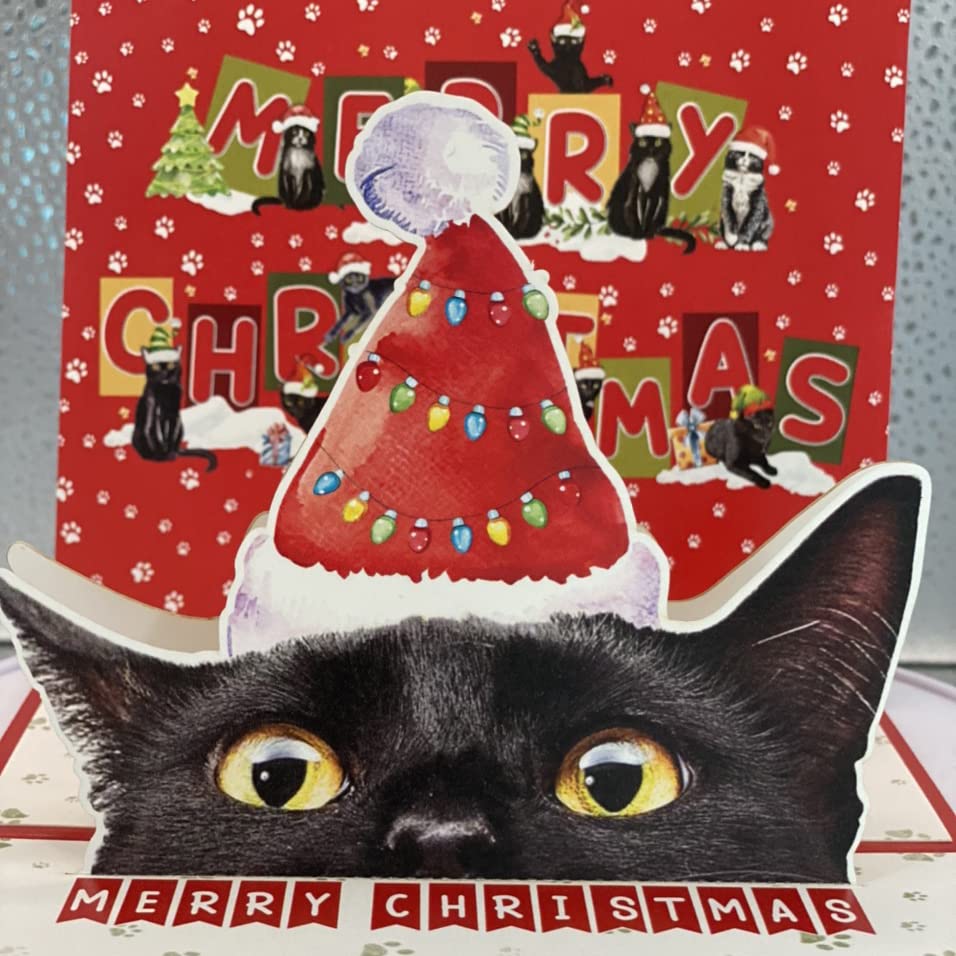 Black Cat Christmas Memes