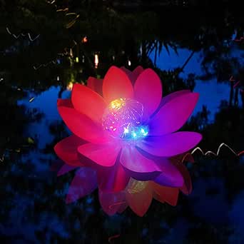 Amazon.com : IJMIO 1 Pack Solar Lotus Pond Lights, 11” Foldable Solar ...