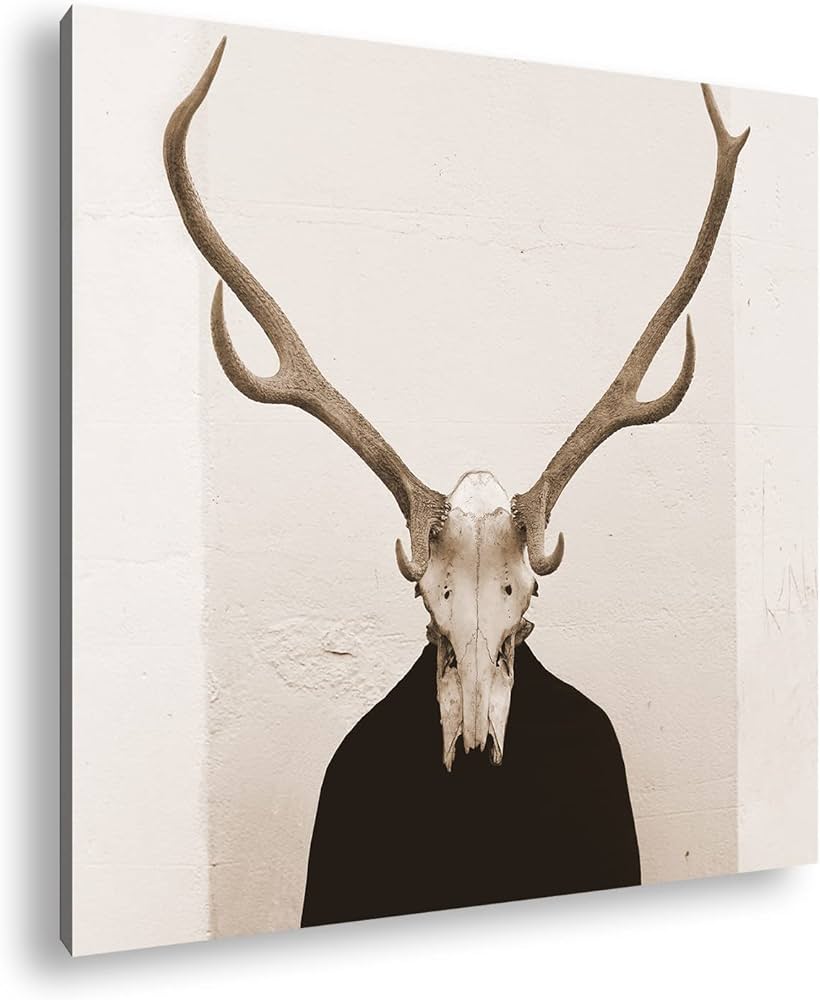 Clipart Teschio Di Cervo LFE 06713 Teschio Hilife 463SKU Teschio