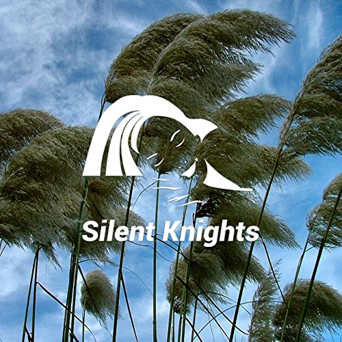 Howling Wind (No Fade for Looping) song by Silent Knights from Soothing ...