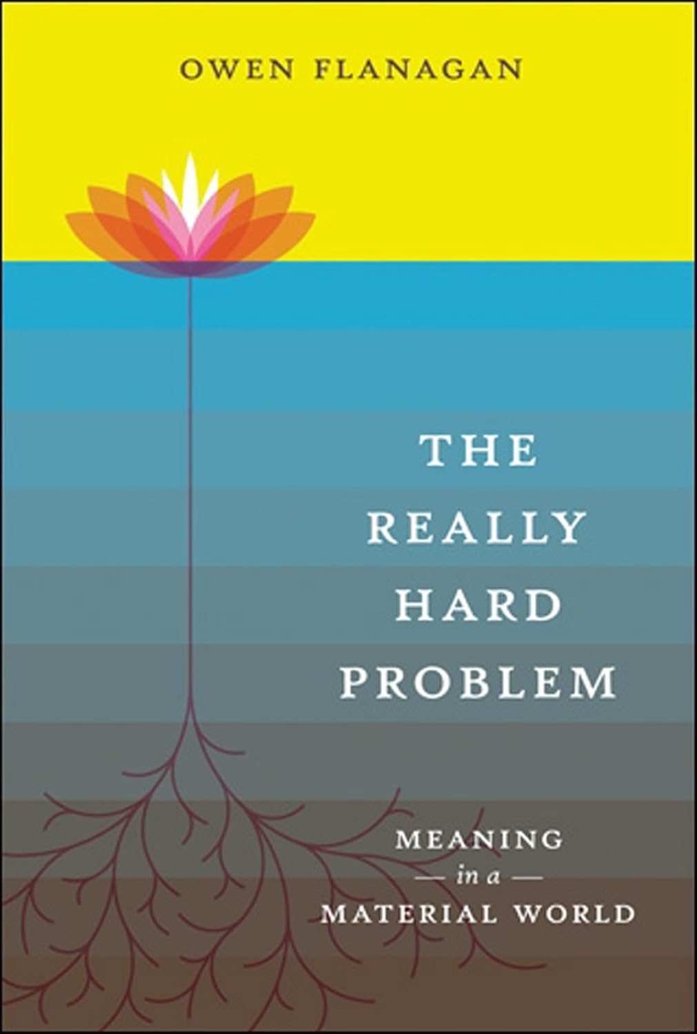 The Really Hard Problem: Meaning in a Material World (Bradford Books ...
