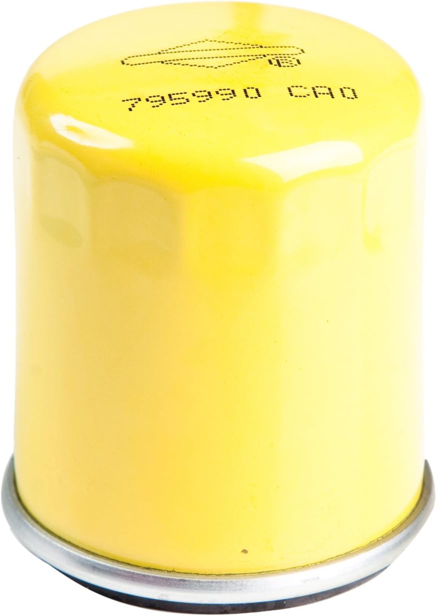 Briggs & Stratton 795990 Oil Filter : Amazon.co.uk: Garden