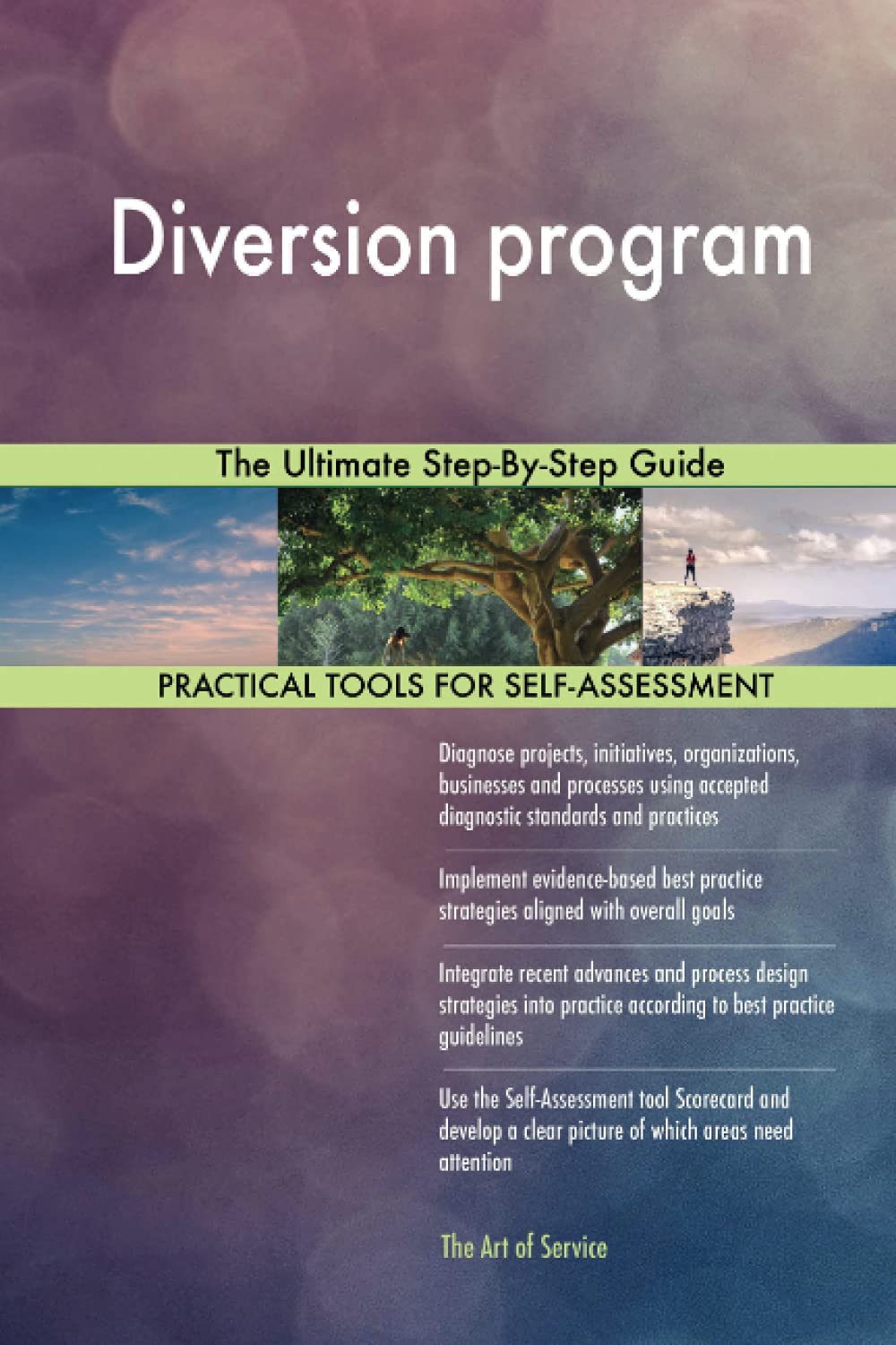 Diversion program The Ultimate Step-By-Step Guide: Gerardus Blokdyk ...