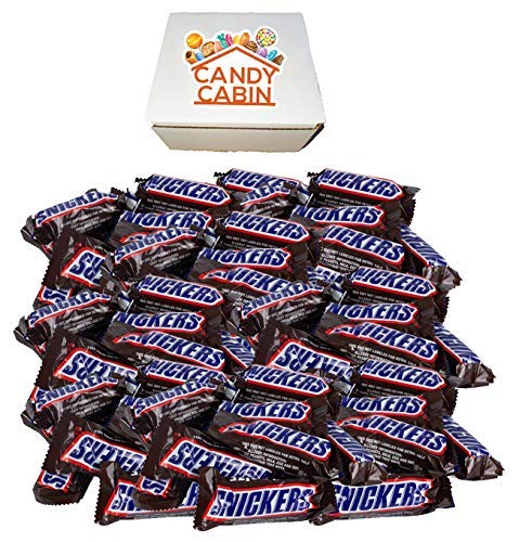 Amazon.com: Snickers Fun Size Candy Bars, BulkPack by CANDY CABIN (6 Lb ...