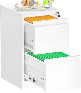 Amazon.com: INTERGREAT 2 Drawers File Cabinet with Lock, 18" D Vertical ...