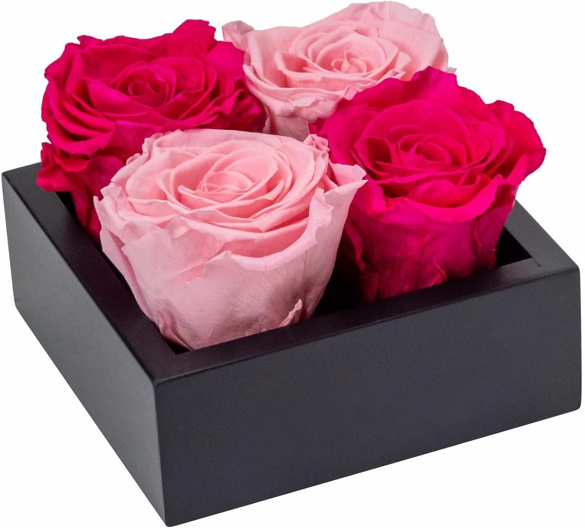 Amazon.com : Khiva Graduation Preserved Roses in Wood Box, 4 Red/Pink ...