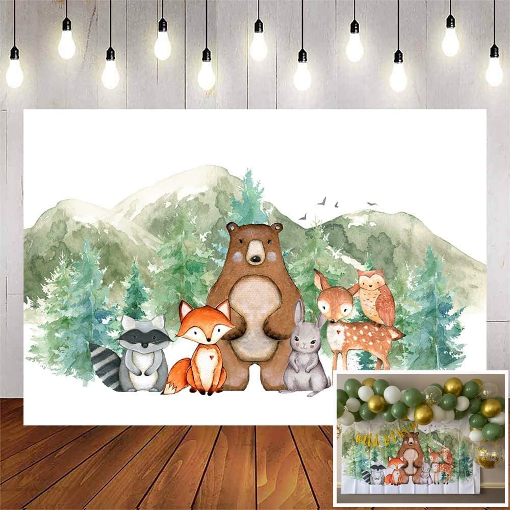 Amazon.com : Jungle Animal Theme Birthday Banner Party Decorations ...