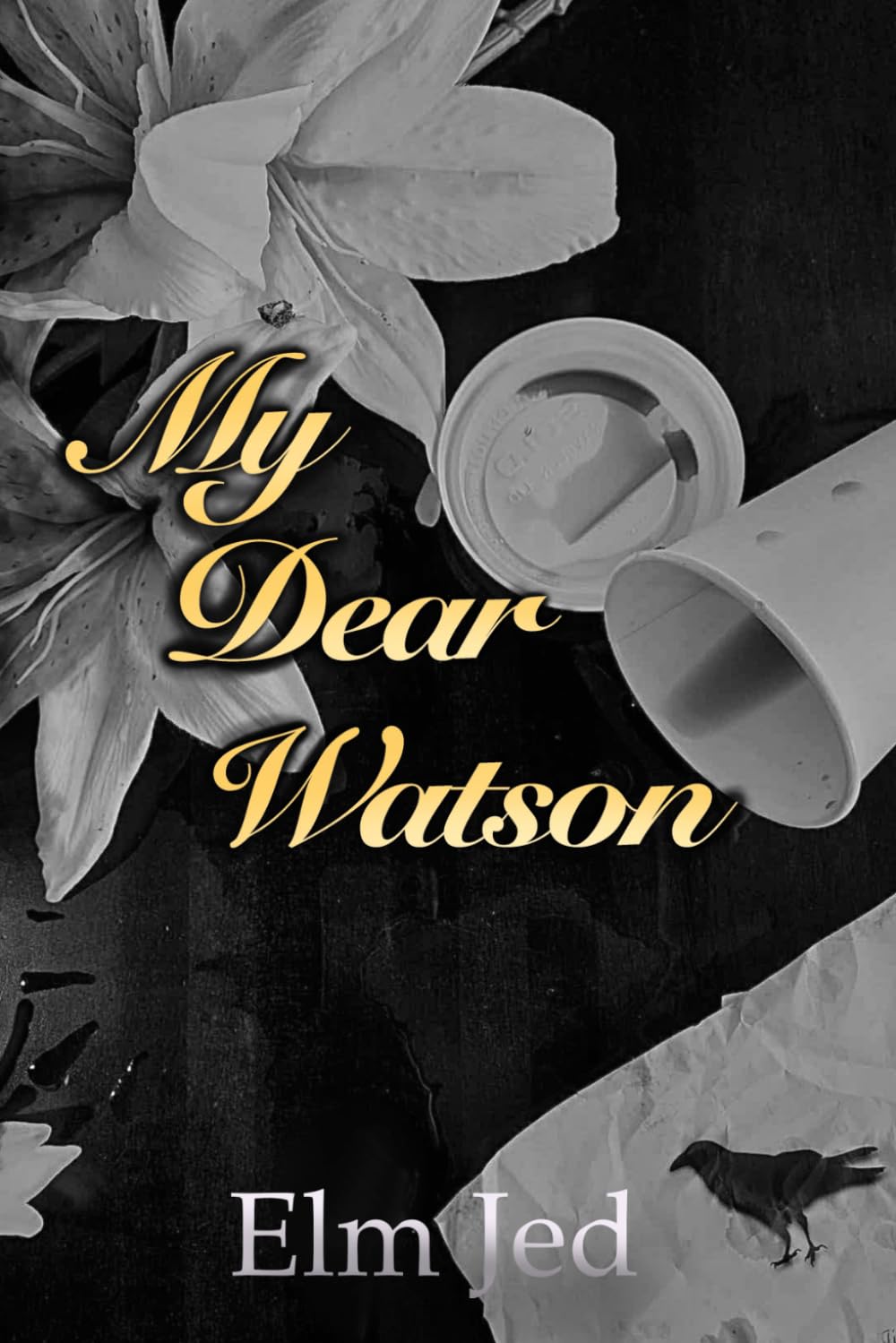 Amazon.com: My Dear Watson (My Dear Watson Series): 9798875847172: Jed ...