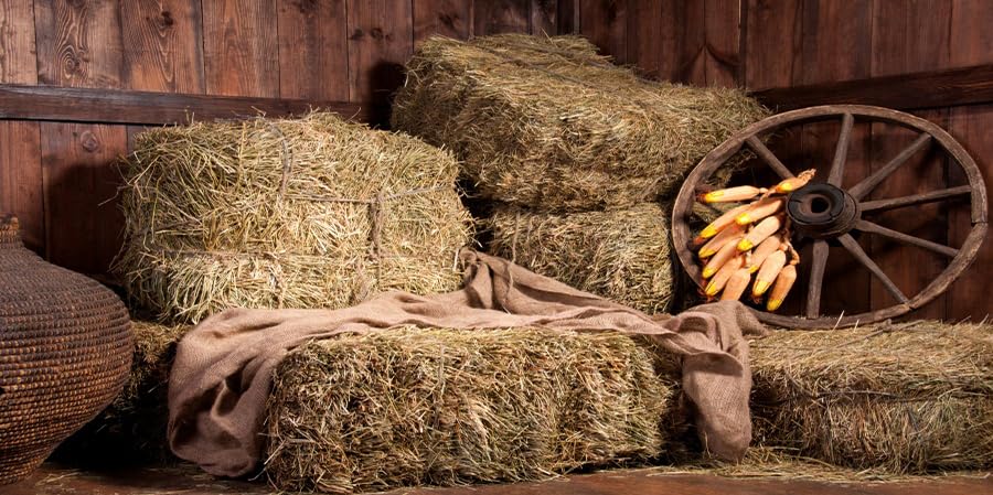 Amazon.com : Yeele 12x6ft Rural Barn Haystack Backdrop Farm Harvest ...