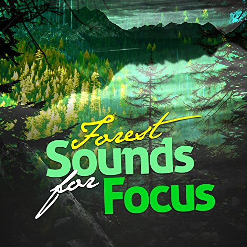 Amazon.com: Forest Sounds for Focus : Natural Forest Sounds: Digital Music