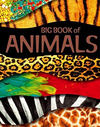 Big Book of Animals | Amazon.com.br