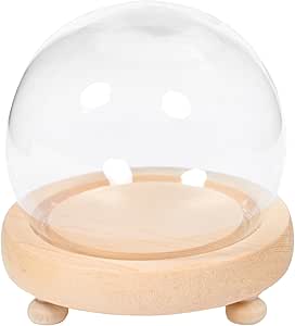Amazon.com: BESTOYARD 1 Set Spherical Glass Cover Acrylic Dome Desktop ...