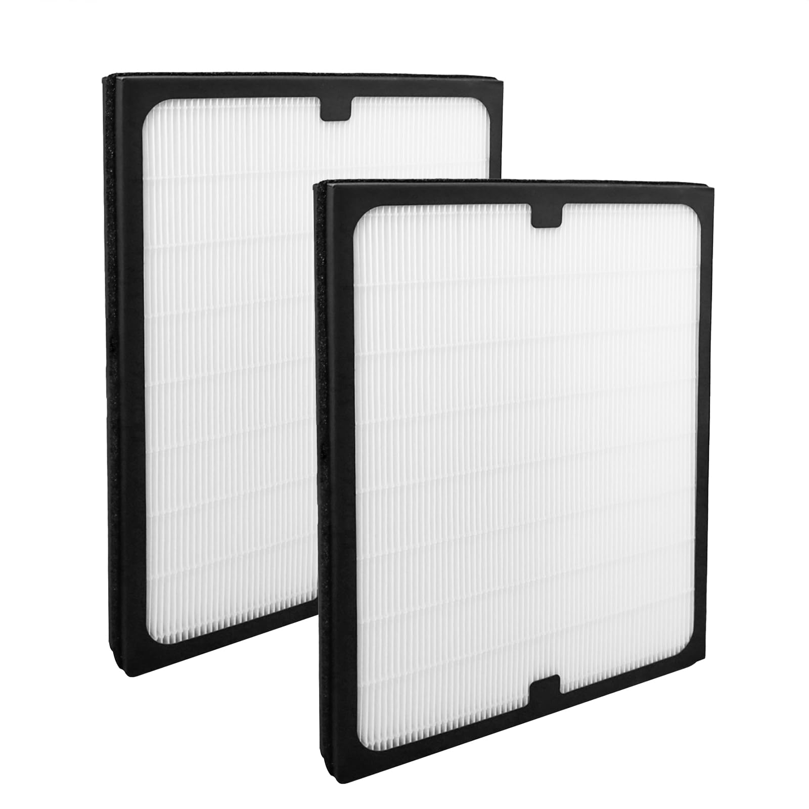 Amazon.com: NXBHG 2 Pack Classic 200 Series Particle Filter Compatible ...