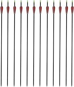 Amazon.com : Genericoutdoors Carbon 30-Inch Arrows with Field Points ...