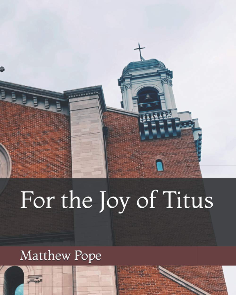For the Joy of Titus: Pope, Matthew: 9798618728744: Amazon.com: Books