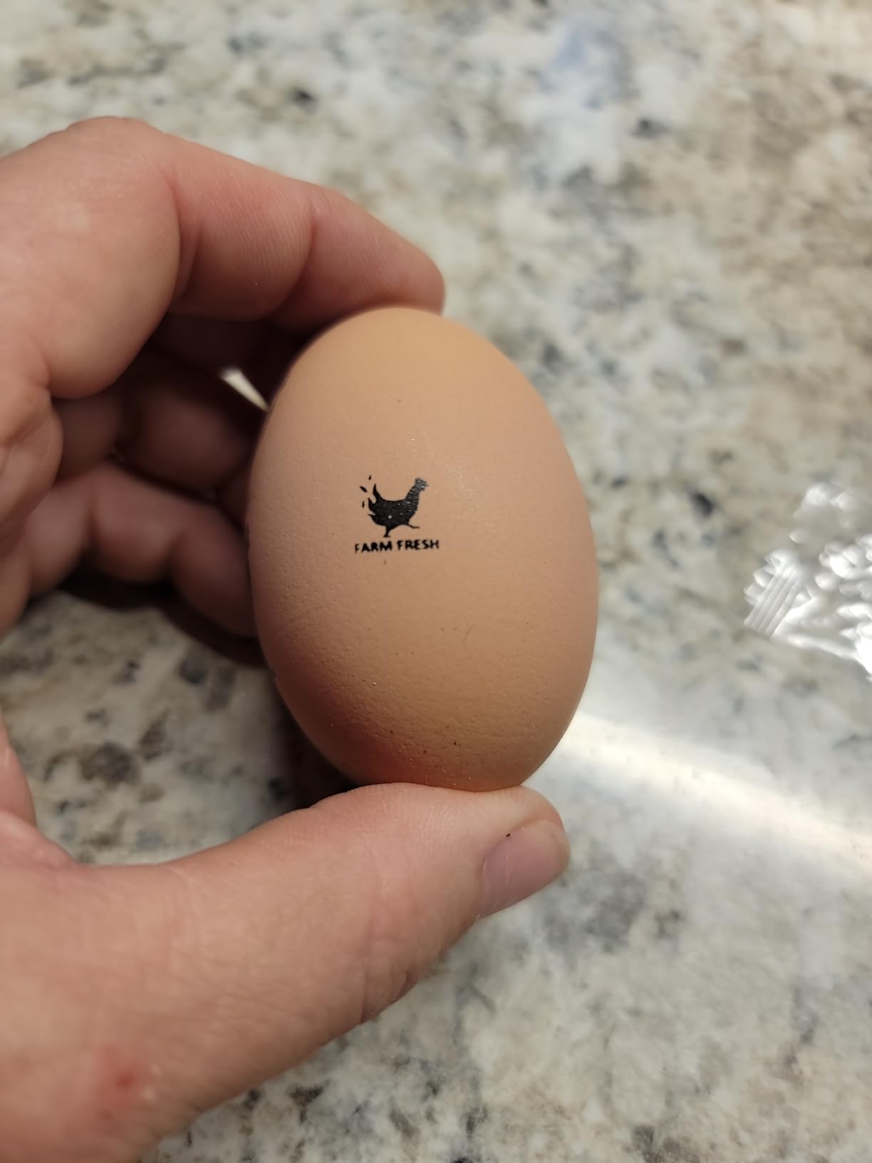 Amazon.com: Egg Stamps for Fresh Eggs, Custom Egg Stamp, Egg Stamps for ...