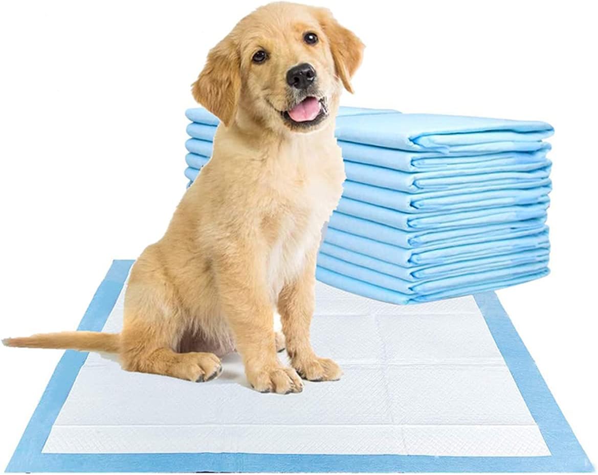 H-line Pack of 100 Quality Multi Layered Pet Dog Puppy Pads Large ...