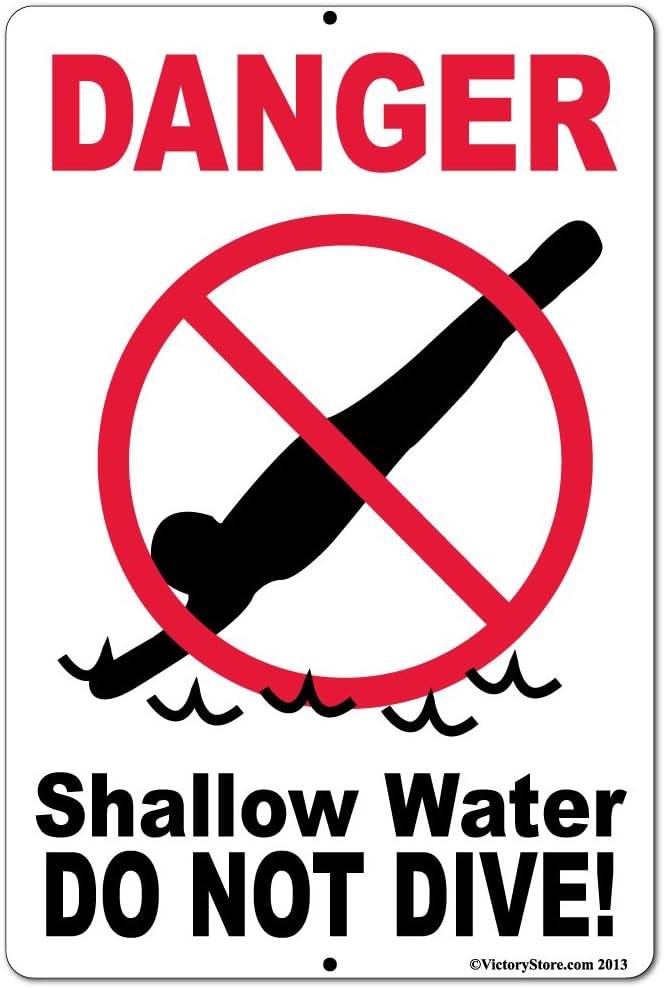 Amazon.com: VictoryStore Yard Sign Outdoor Lawn Decorations: Danger ...