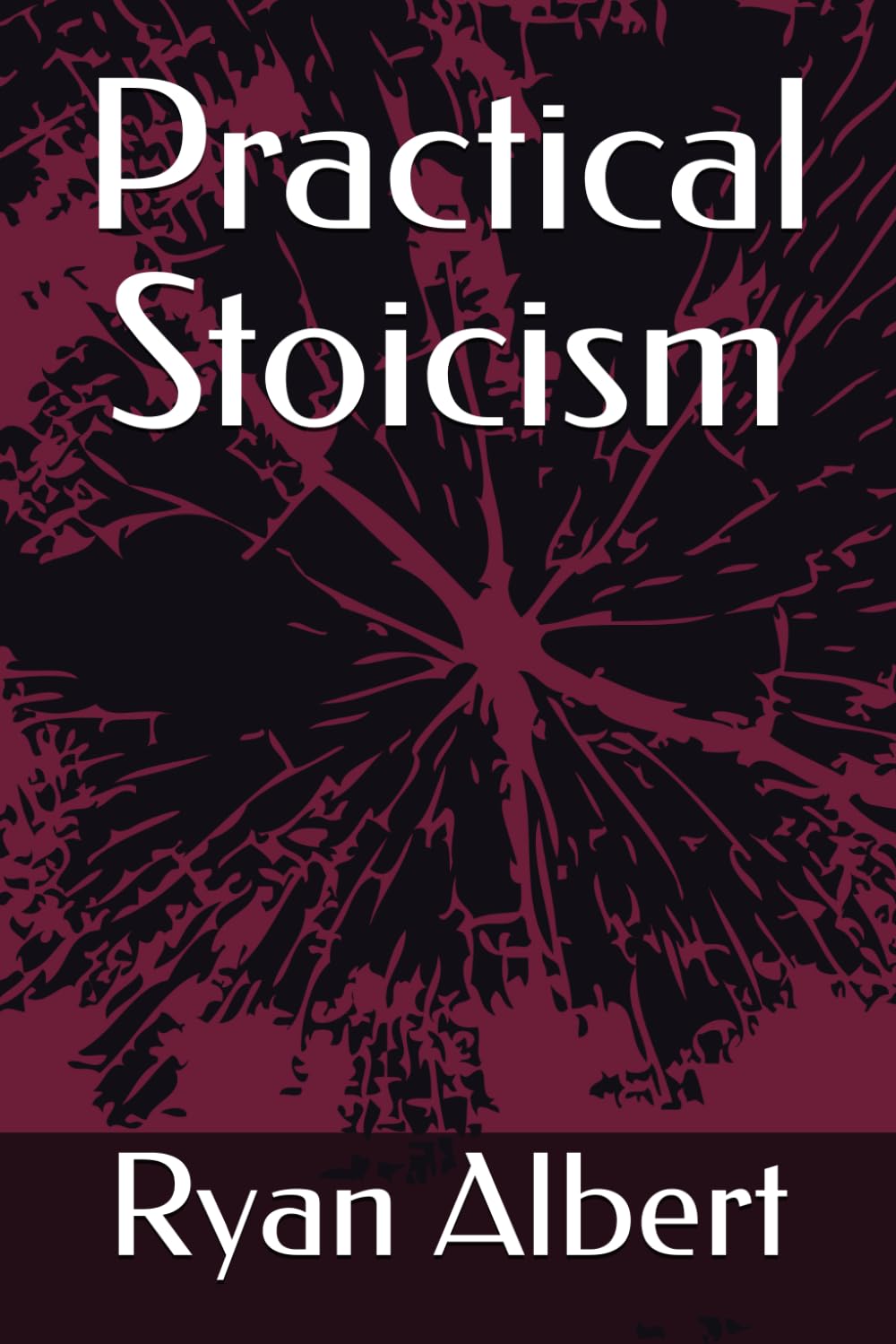Amazon.com: Practical Stoicism: 9798861450515: Albert, Mr. Ryan A: Books